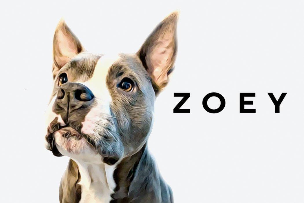 Should I Get a Hand-Painted or Digital Portrait of My Pet? – Dope Dog