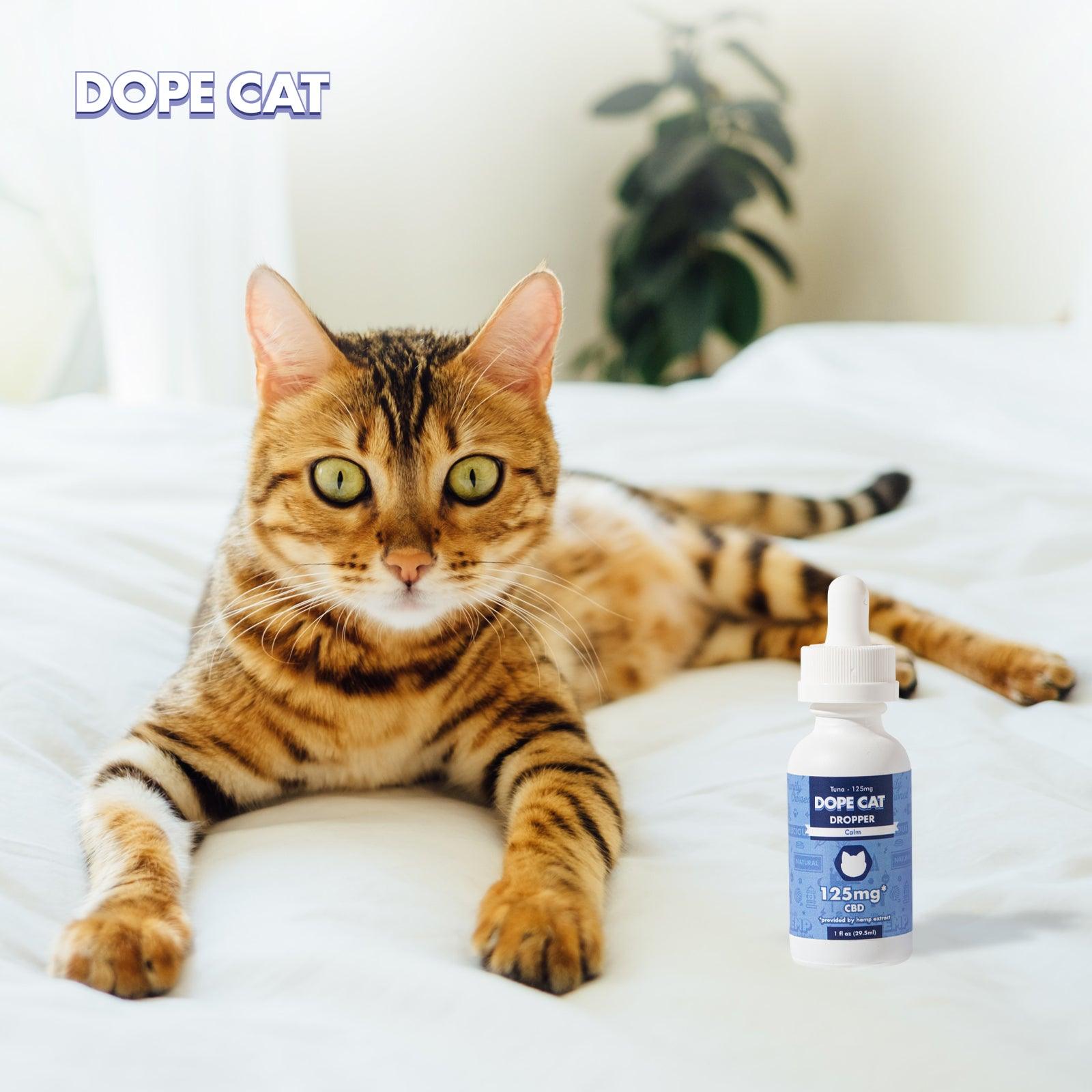 Dope Cat – Dope Dog