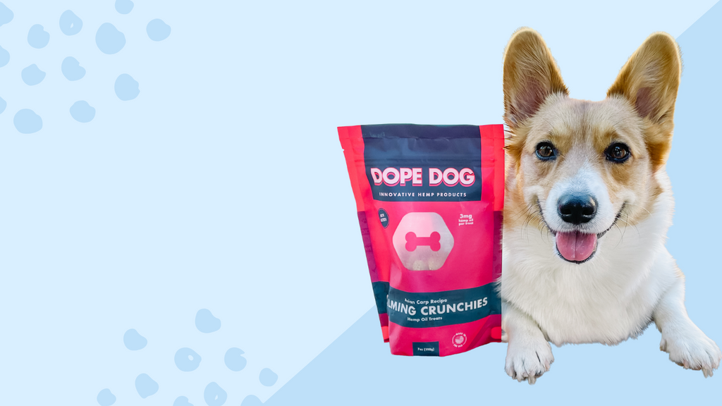 Wholesale CBD Dog Treats | Dope Dog | Dope Dog