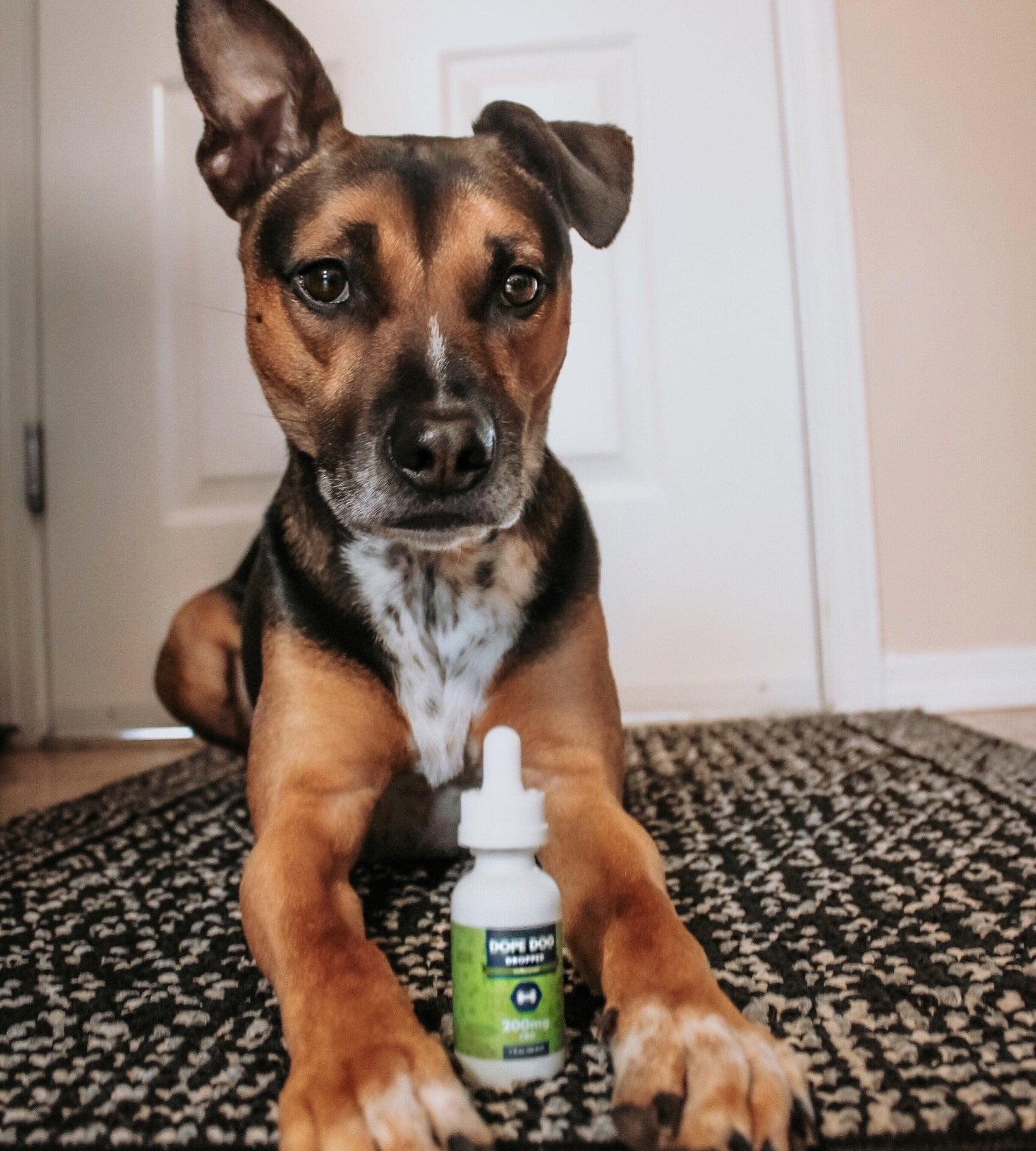 Peanut Butter CBD Calming Dog Treats BYEANXIETY | Dope Dog | Dope Dog