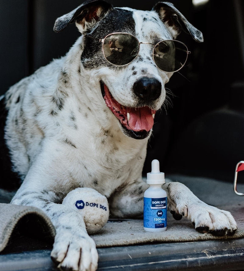 Peanut Butter CBD Dog Treats | Dope Dog