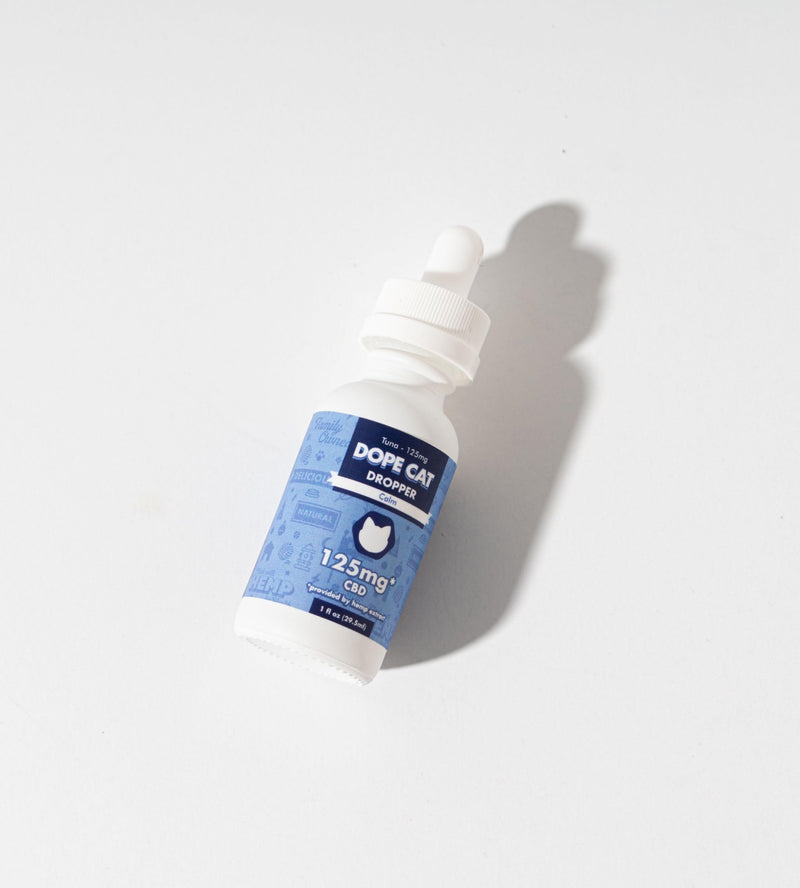 5 Things You Must Know When Your Dog Gets Stung by a Bee [IN-DEPTH LOOK ...