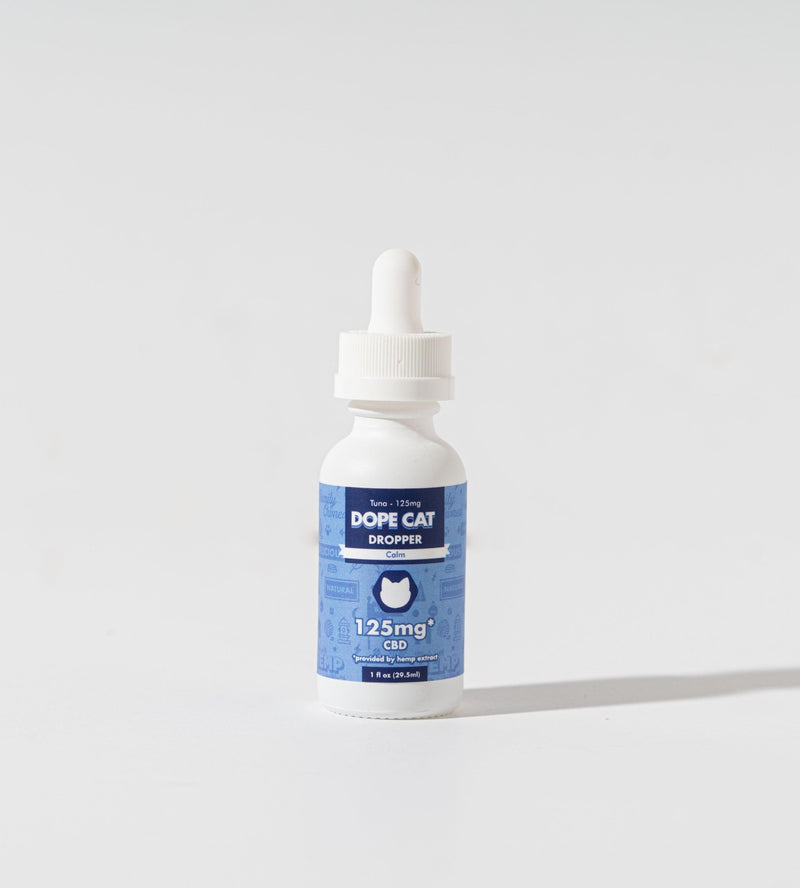 5 Things You Must Know When Your Dog Gets Stung by a Bee [IN-DEPTH LOOK ...