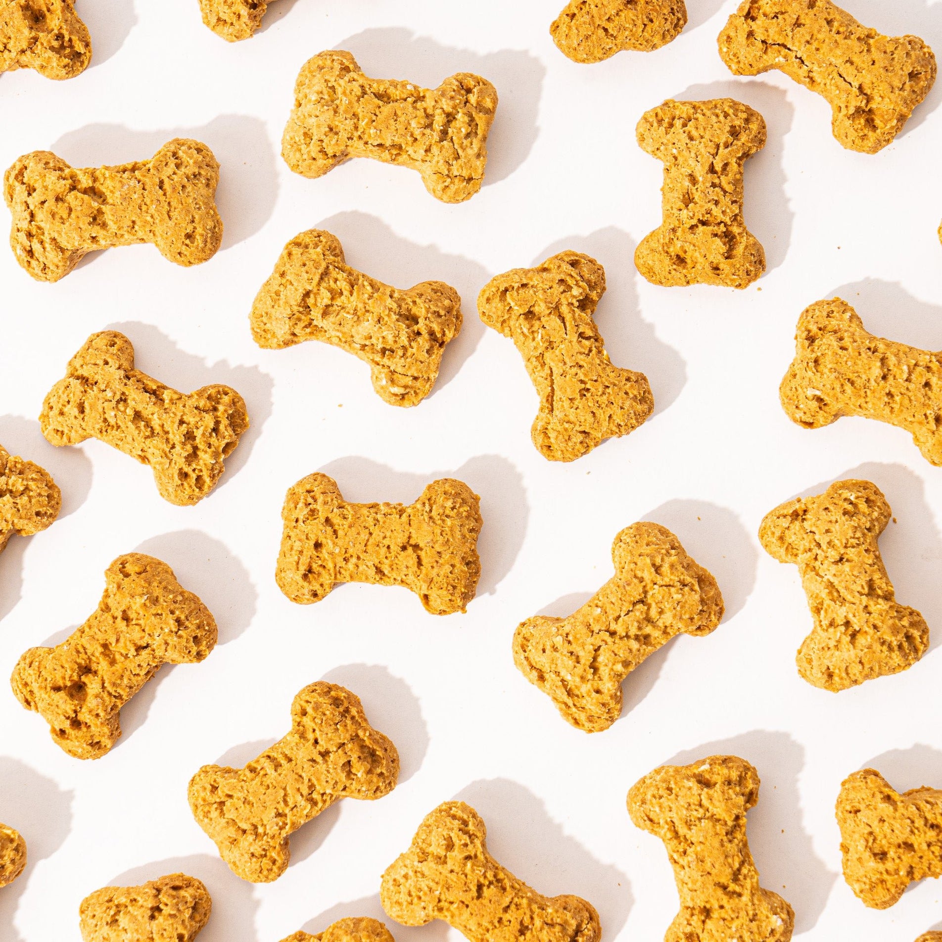 Making Dogs Happy, Impact | Dope Dog | Dope Dog