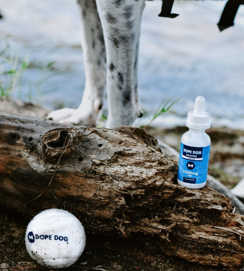 Peanut Butter CBD Dog Treats | Dope Dog