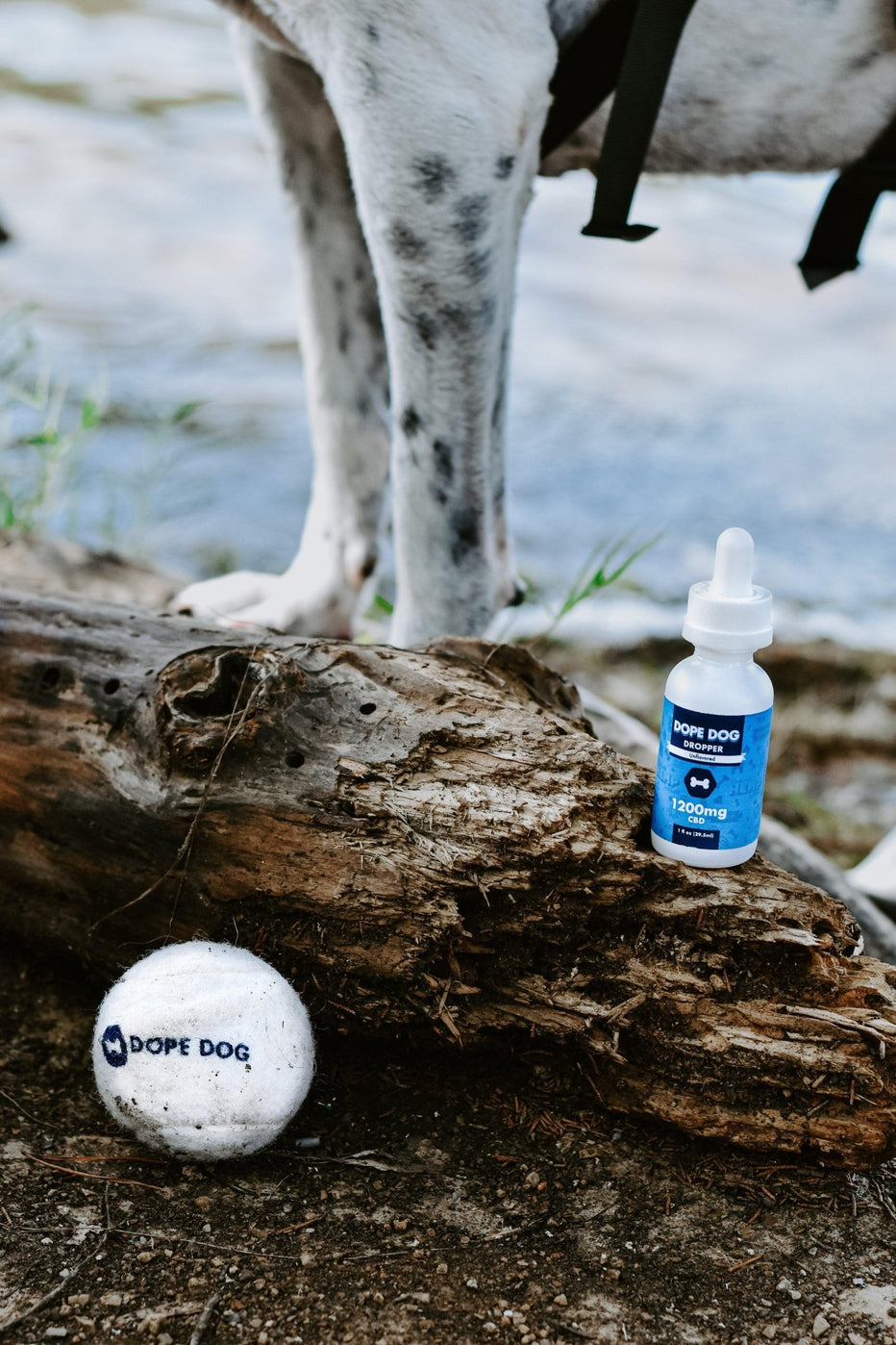 CBD Oil for Dogs - 1200mg | Dope Dog | Dope Dog